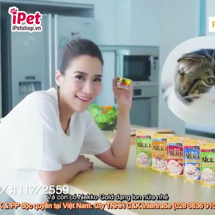 Thức Ăn Pate Cho Mèo Nekko Kèm Topping - iPet Shop - YouTube