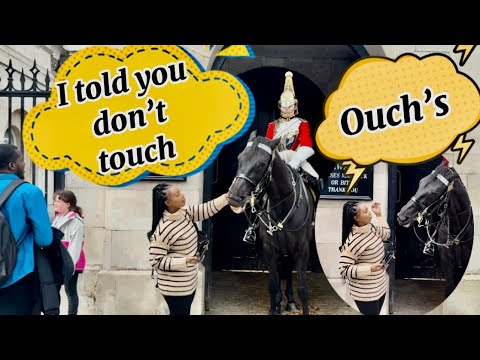 Silly tourist, I told you do not touch the horse. Now what? - YouTube