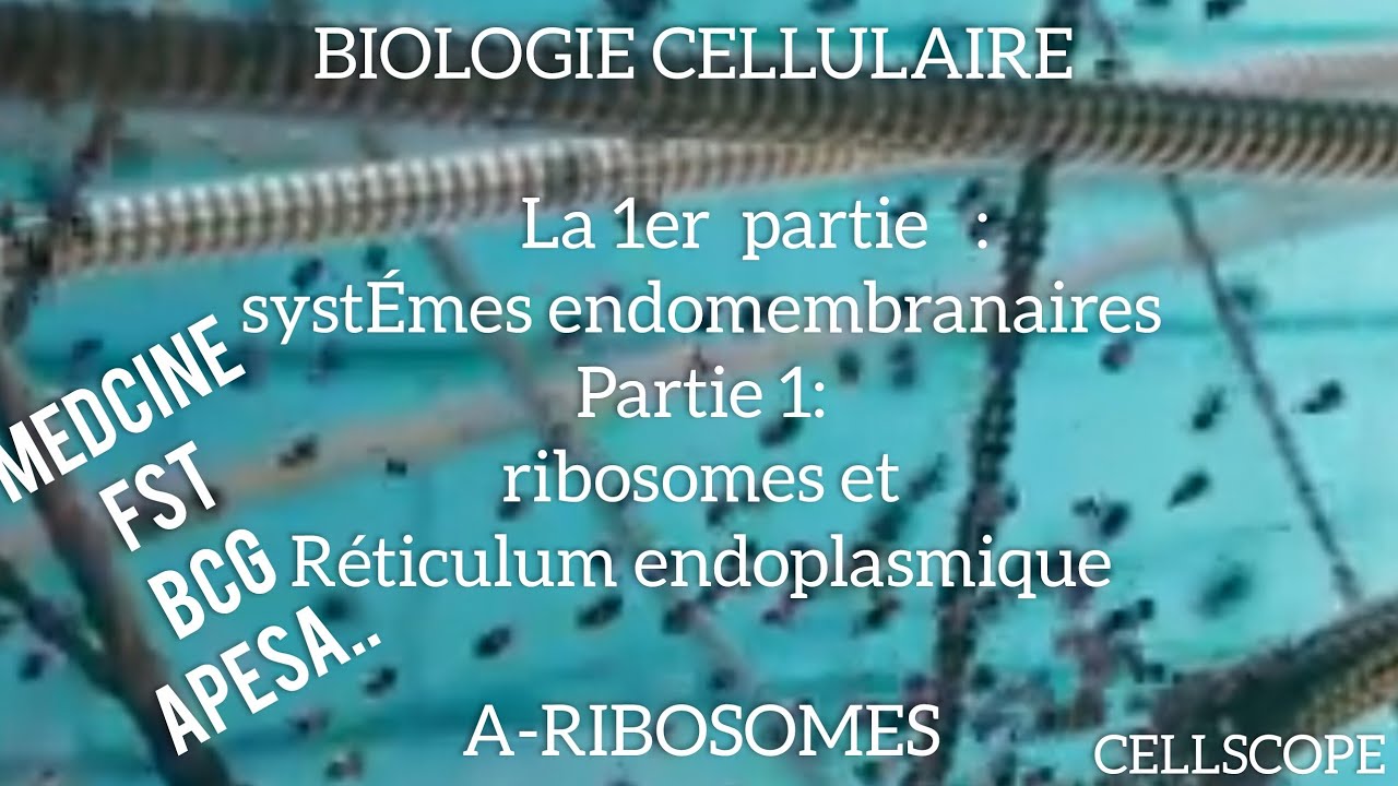 BIOLOGIE CELLULAIRE La 1er partie :systÉmes endomembranaires Partie 1 ...