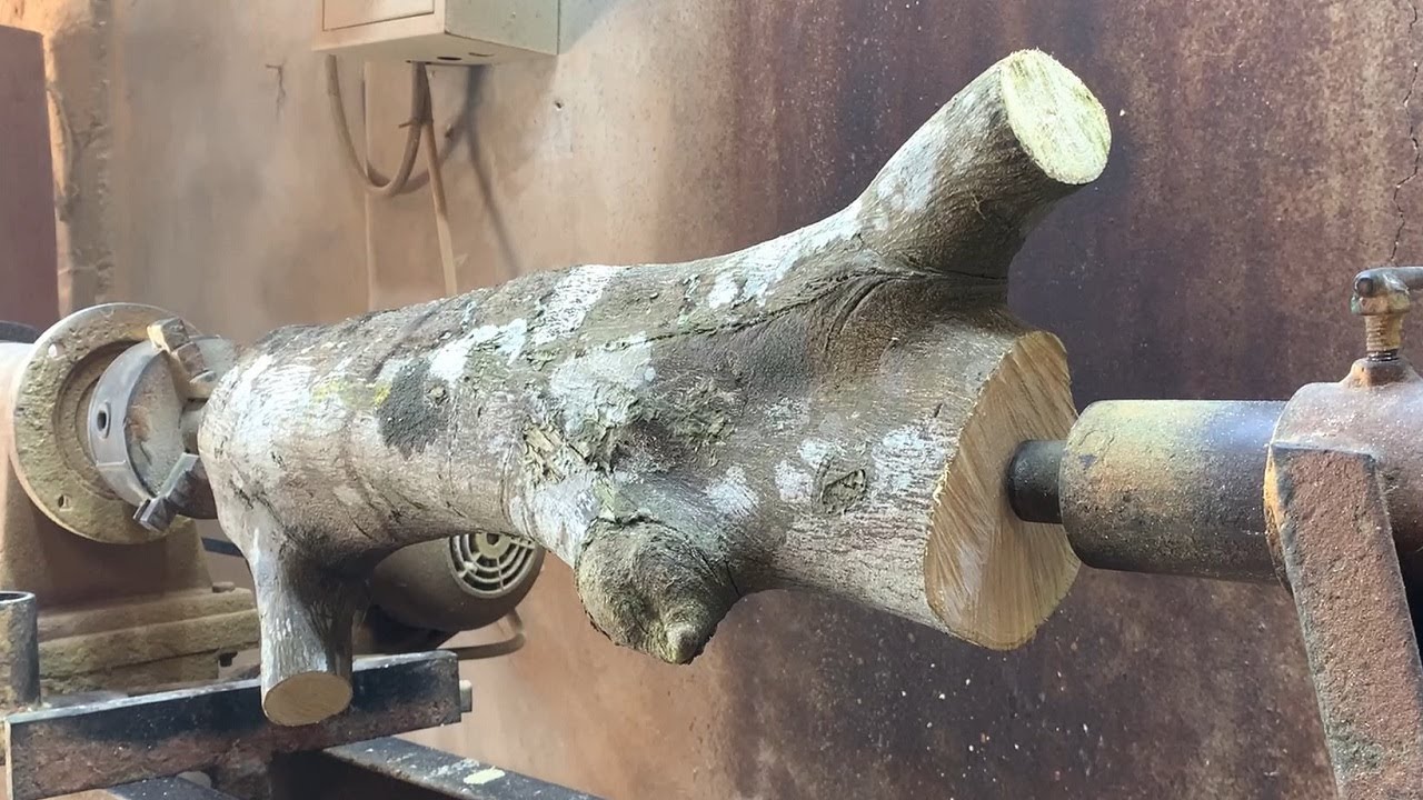 “Turning an ordinary tree branch into a unique masterpiece the ...