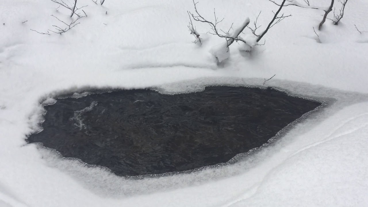Ruisseau au Lac Boileau dans la région de Rivière-Rouge - YouTube