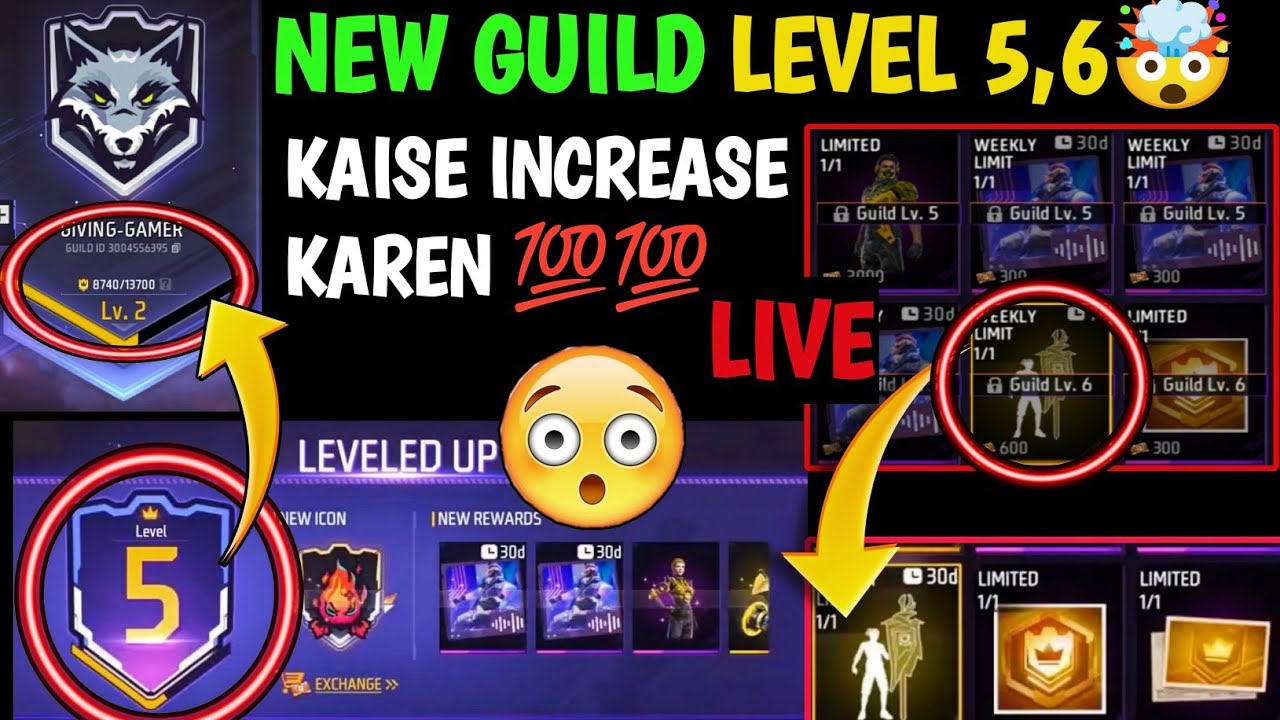 GUILD LEVEL 6 KAISE KAREN GUILD LEVEL ACTIVITY POINTS KAISE BADHAEN NEW GUILD LEVEL GUILD POINTS ...