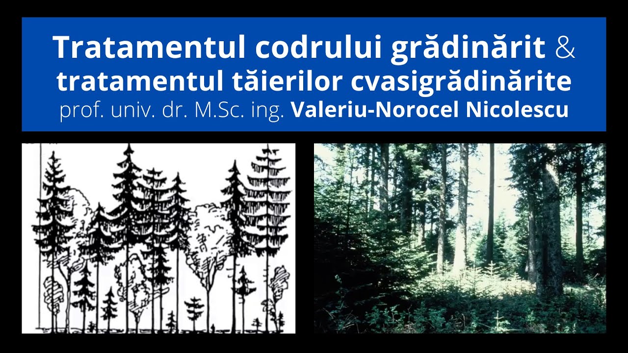 Tratamentul codrului grădinărit & tratamentul tăierilor ...