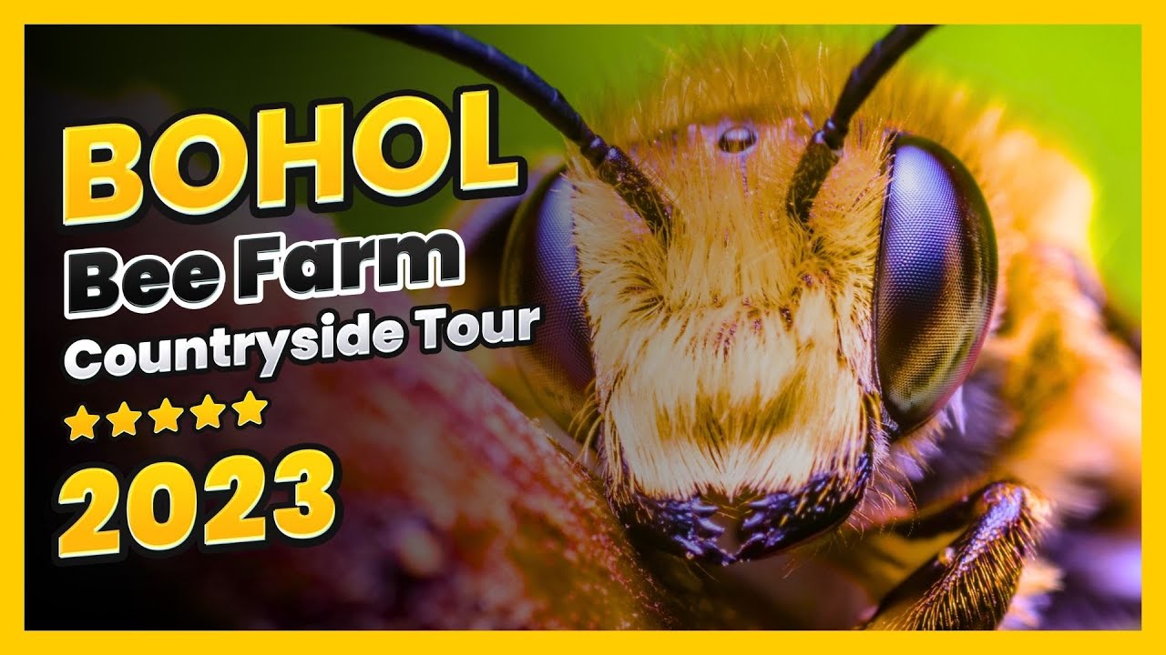 Bohol Bee Farm Tour | Full Bohol Countryside Tour | Bohol 2023 - YouTube