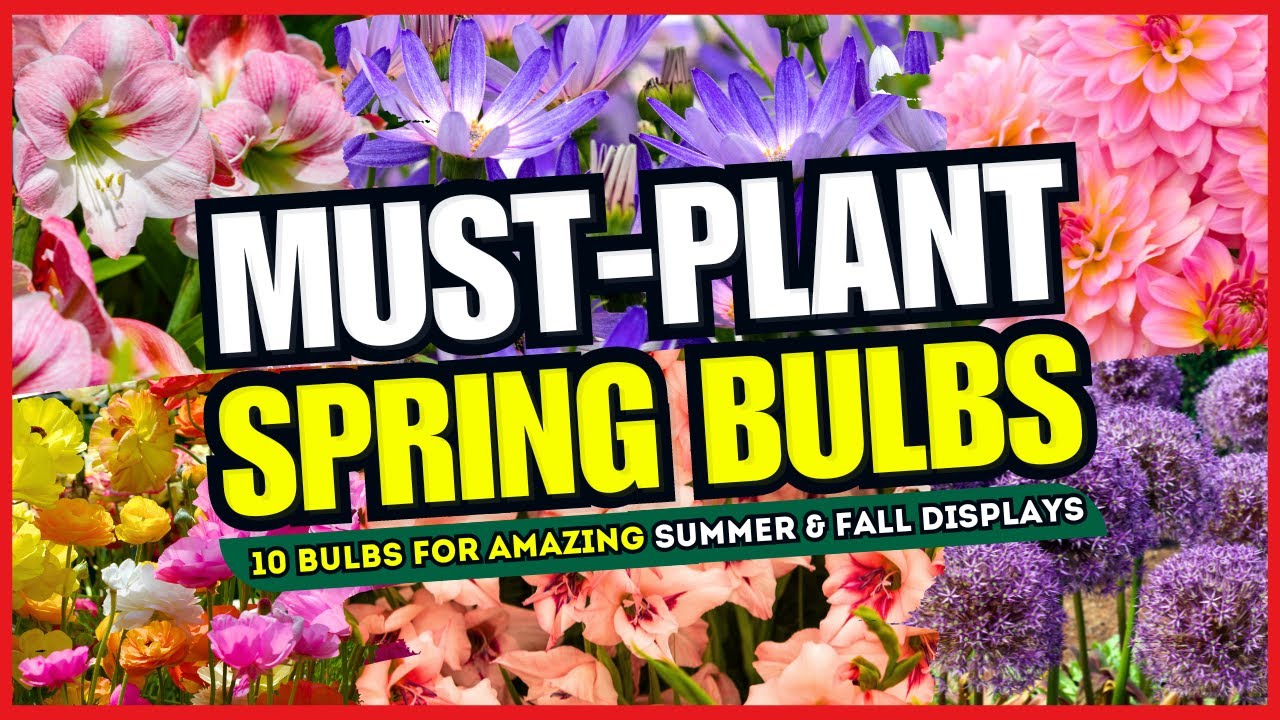 10 Spring Bulbs for Show-Stopping Summer & Fall Flowers! 🌞 PLANT NOW ...