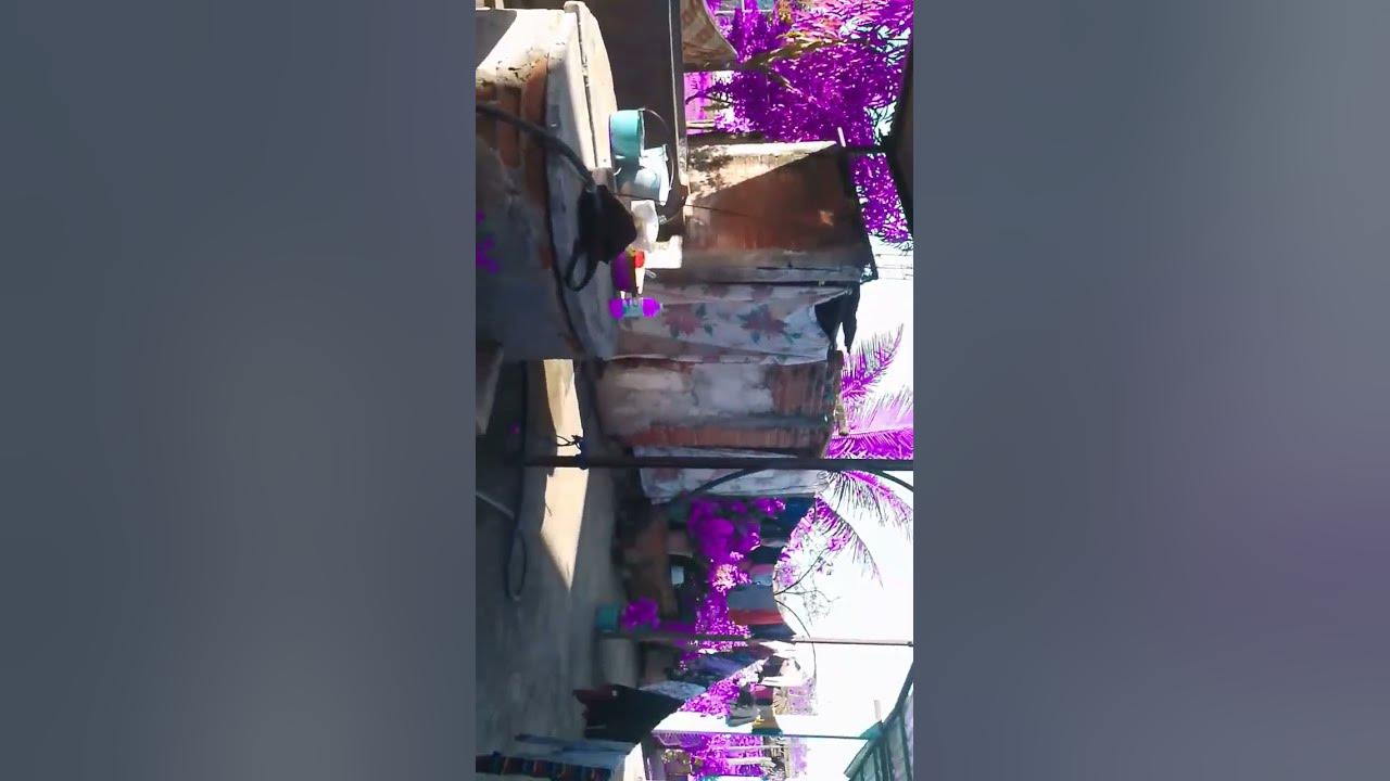 11 de agosto de 2024 - YouTube