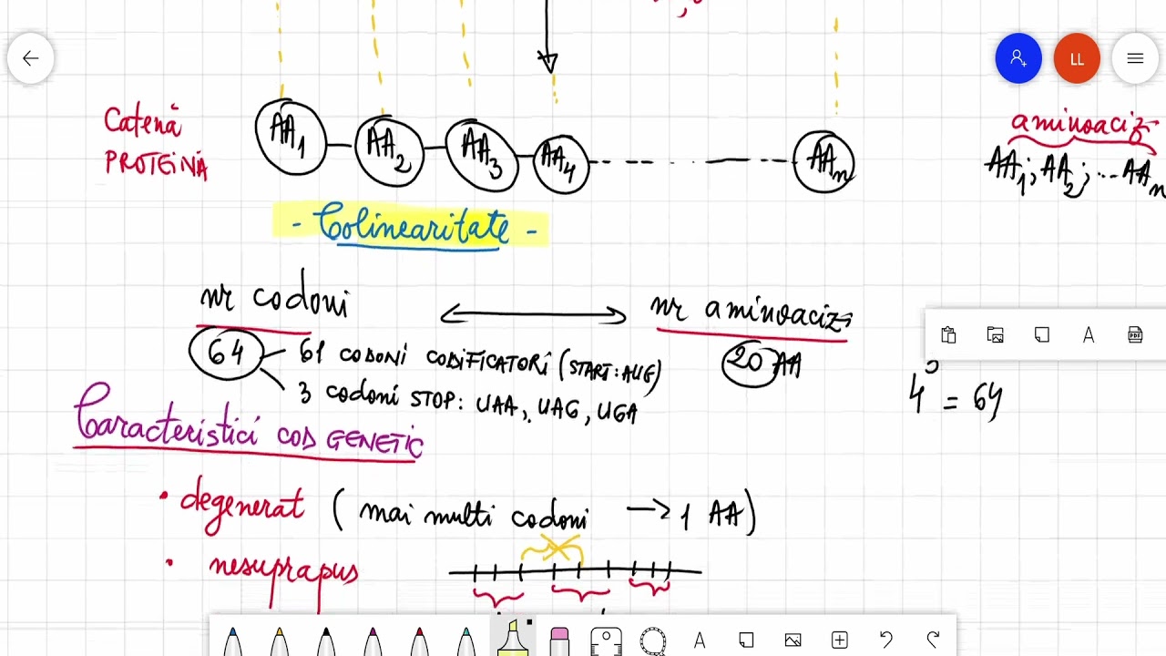 Codul genetic - YouTube