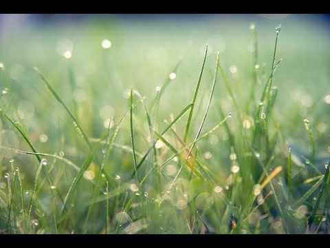 ASMR Rain 2022- Sleep in 5 minutes - Soothing sounds