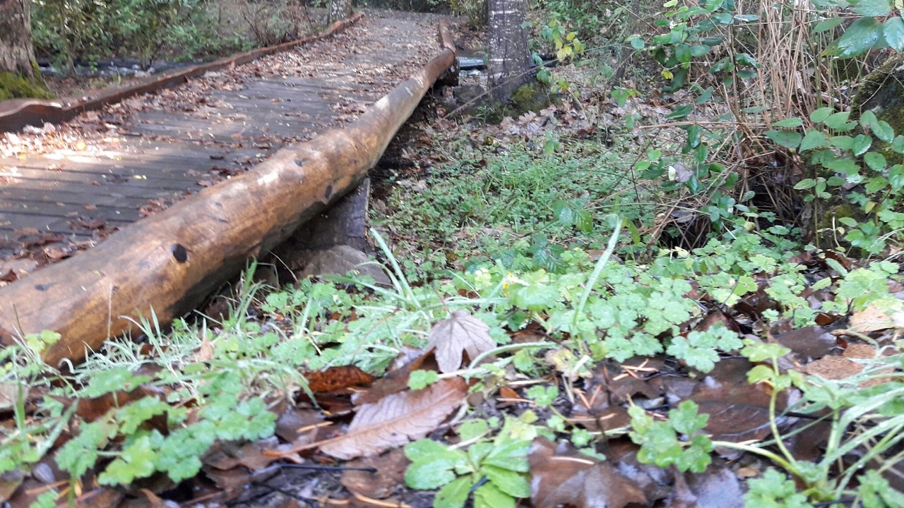 Transmisión en directo de alex Mella - YouTube