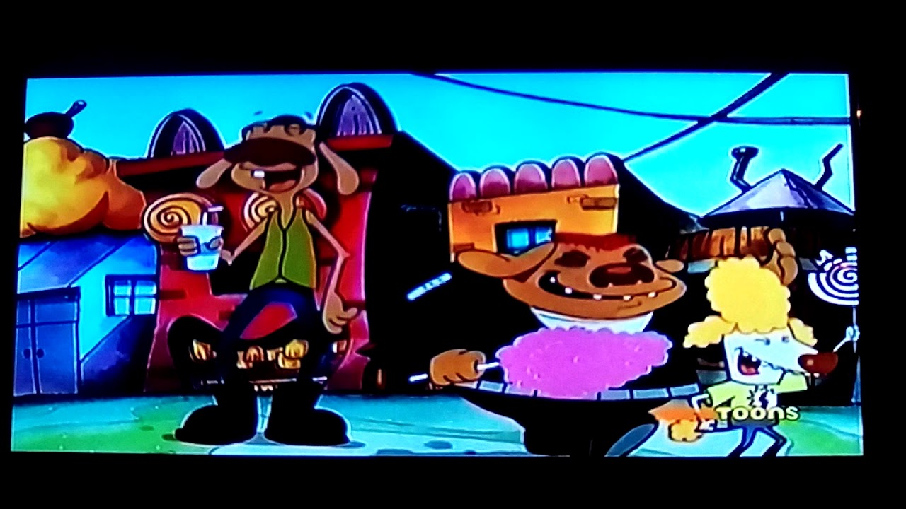 CatDog Nicktoons 2018 - YouTube