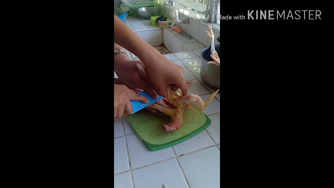 steps in slaughtering poultry - YouTube