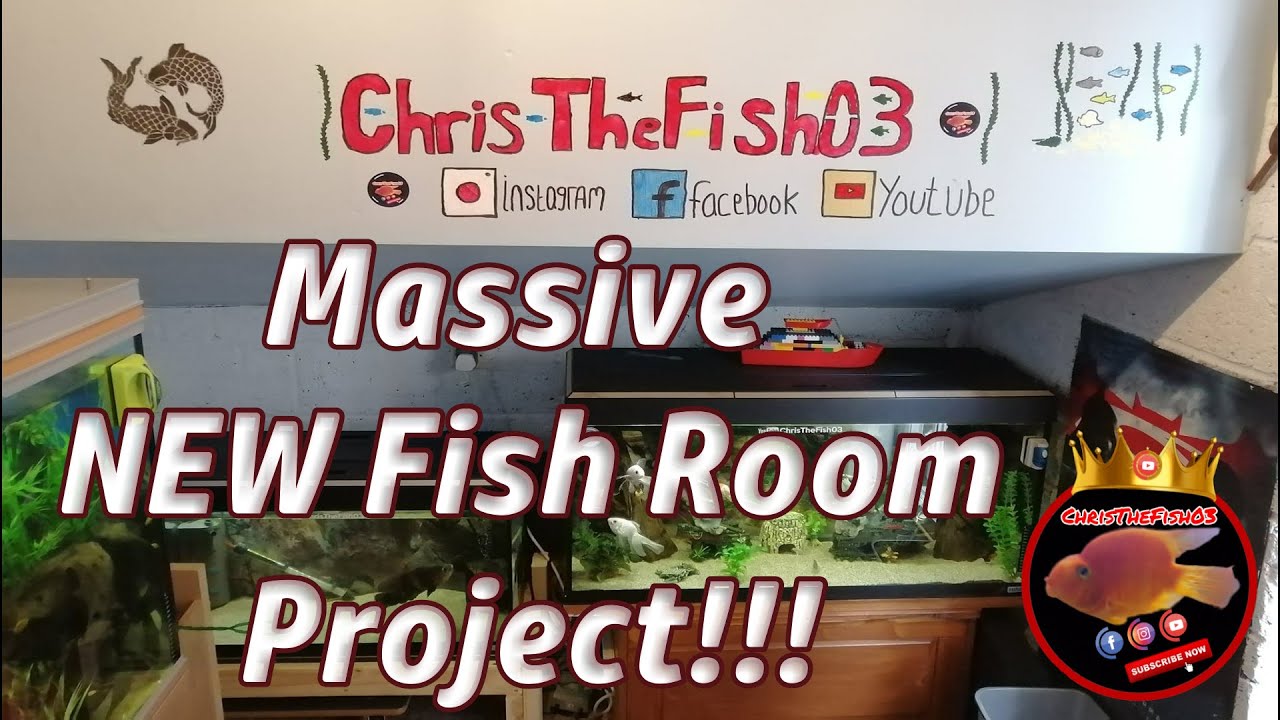 Massive NEW Fish Room Project!!! - YouTube