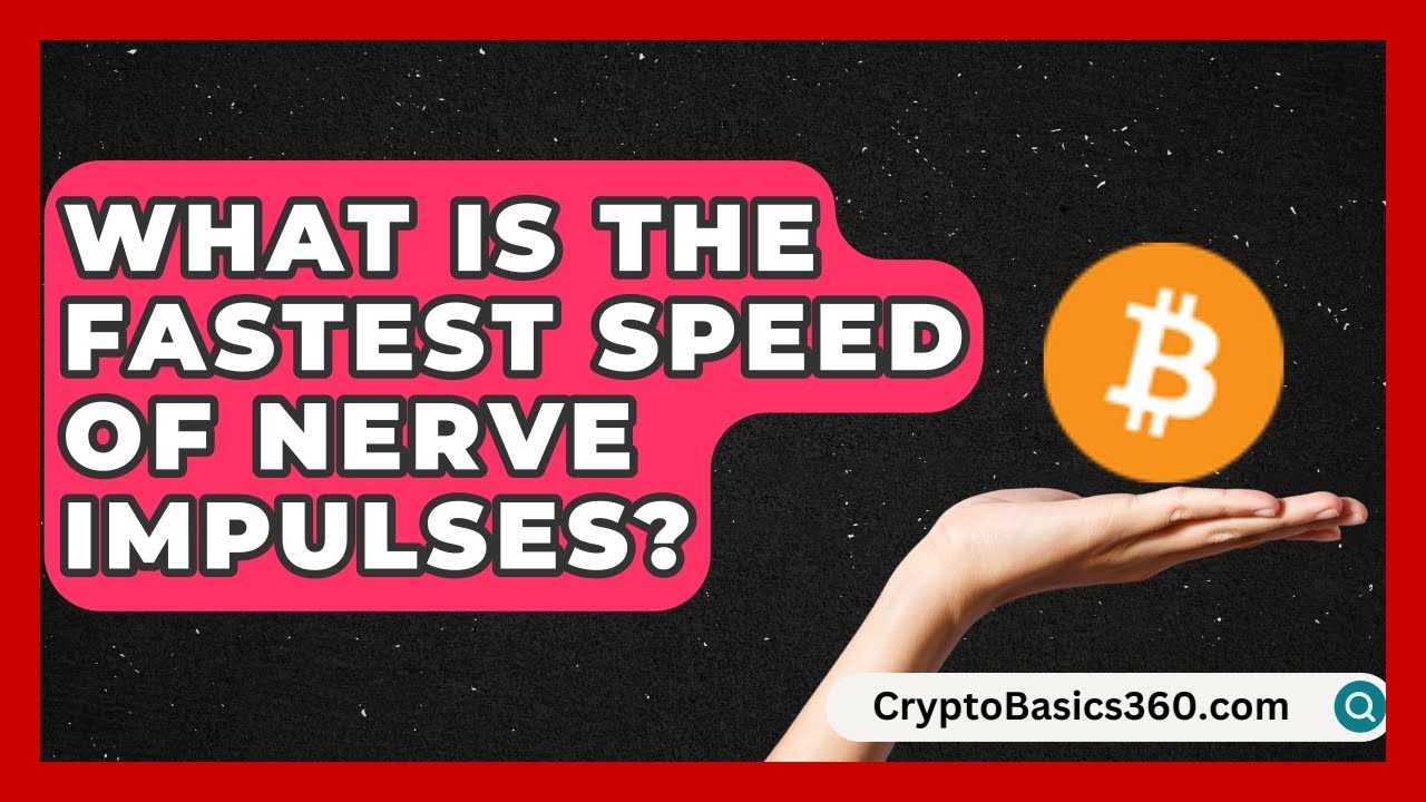 What Is the Fastest Speed of Nerve Impulses? | Did Ya Know This - YouTube