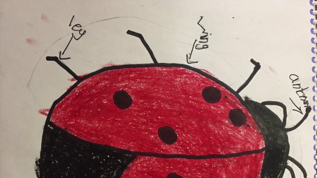 Guy Weadick School, Calgary Alberta - YouTube