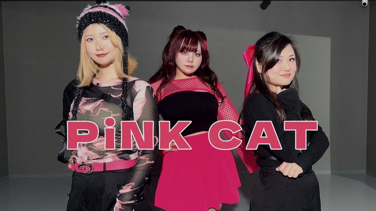 【初投稿】PiNK CAT 踊ってみた - YouTube