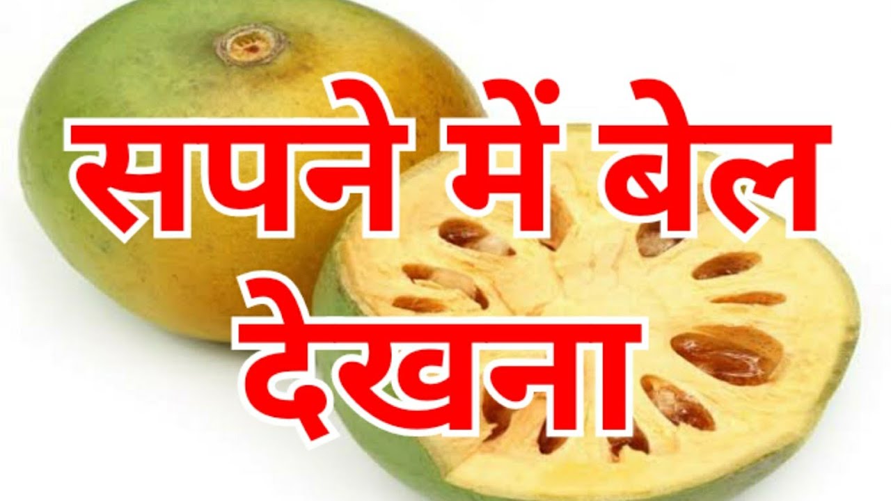 सपने में बेल का फल देखना. sapne mein bel ka fal dekhna. सपने में बेल ...
