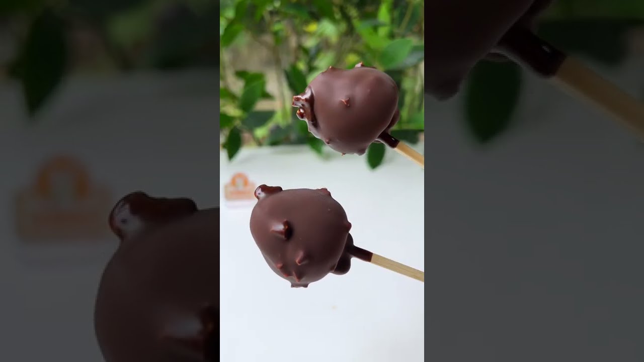 Which Is Your Favorite Way To Eat Lychees?😸 | Cute Cat Cooking Show ...