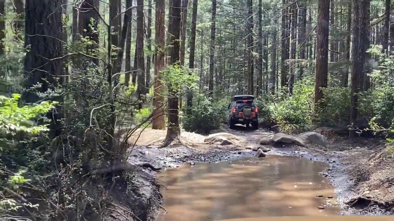 Tahuya ORV Park in Washington - YouTube