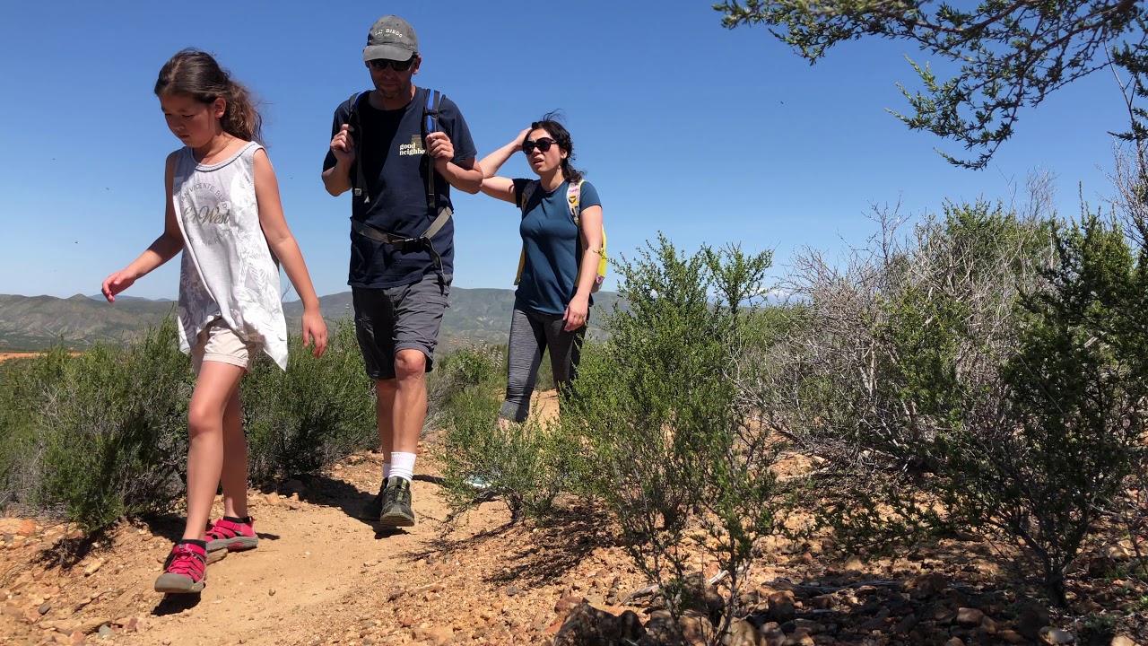 Dripping Springs Hike - YouTube