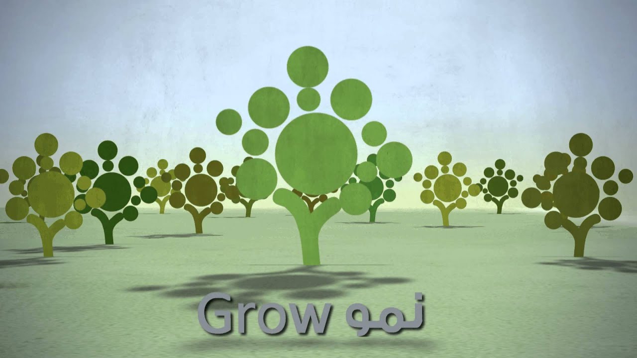 Sharakah Brand Animation - YouTube