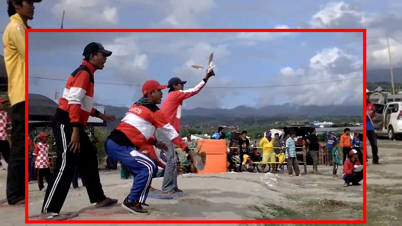 1...Adu merpati balap hut bhayangkara polda sulteng 2014 lap talise ...