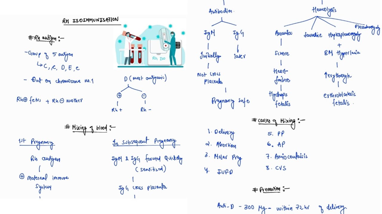 RH ISOIMMUNISATION NOTES | OBSTETRICS | ONE PAGE NOTES | 4TH PROFF ...