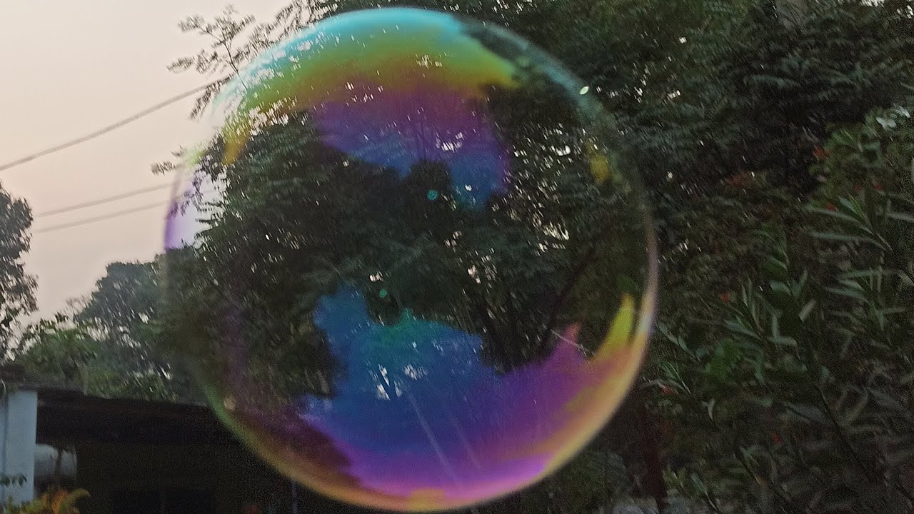 rasmita's garden 🌱 is live - YouTube