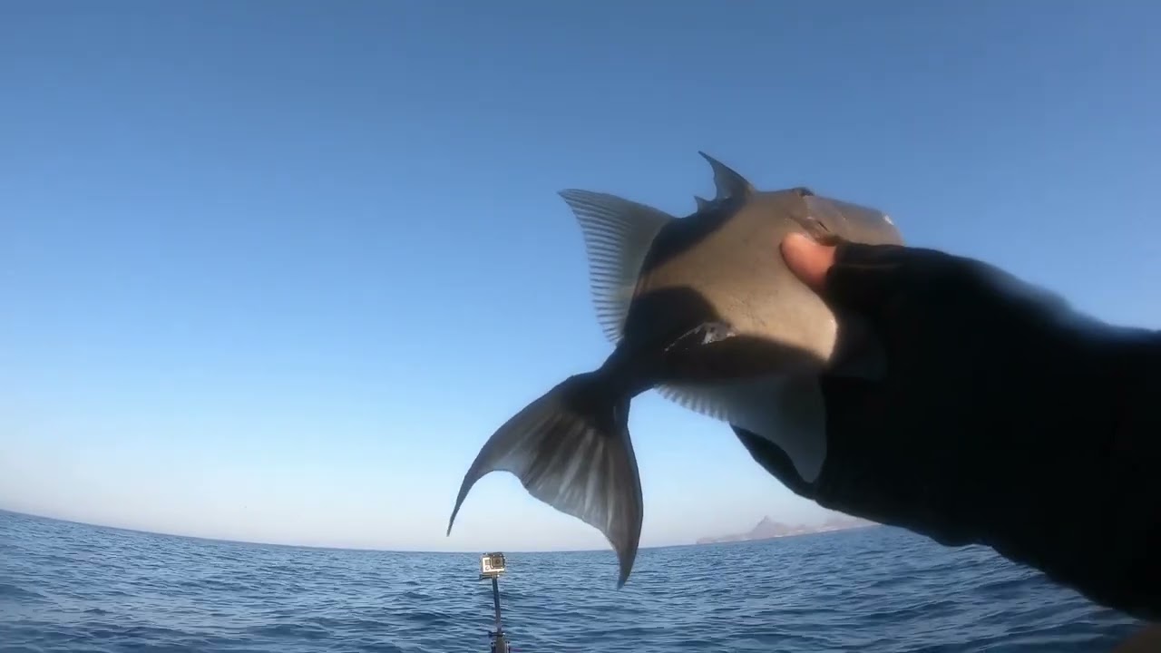 Pesca de cochito - YouTube