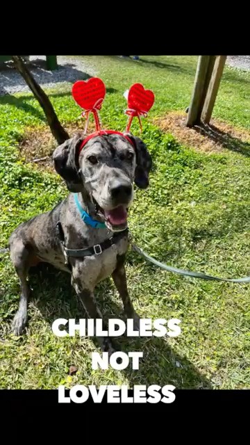 Single and Childless Not By Choice: Childless NOT Loveless - YouTube