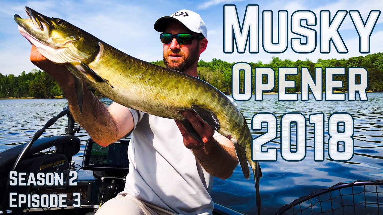 School is out for summer... First musky hunt of the season! - YouTube