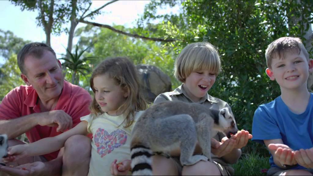 Join us at Australia Zoo to check out Bindi's Island! - YouTube