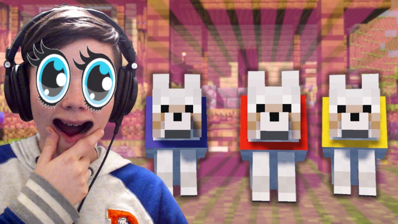 I Got Pet Dogs In Minecraft (Part 3) - YouTube