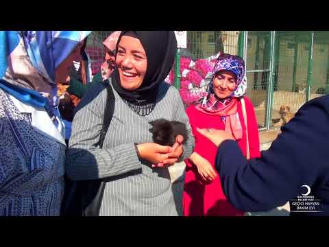 Kastamonu Belediyesi Geçici Hayvan Bakım Evi