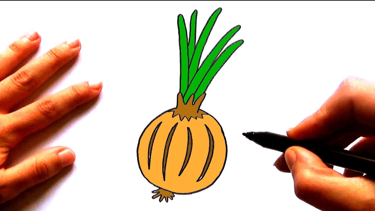 Cómo dibujar una Cebolla paso a paso - Dibujo de una Cebolla - YouTube