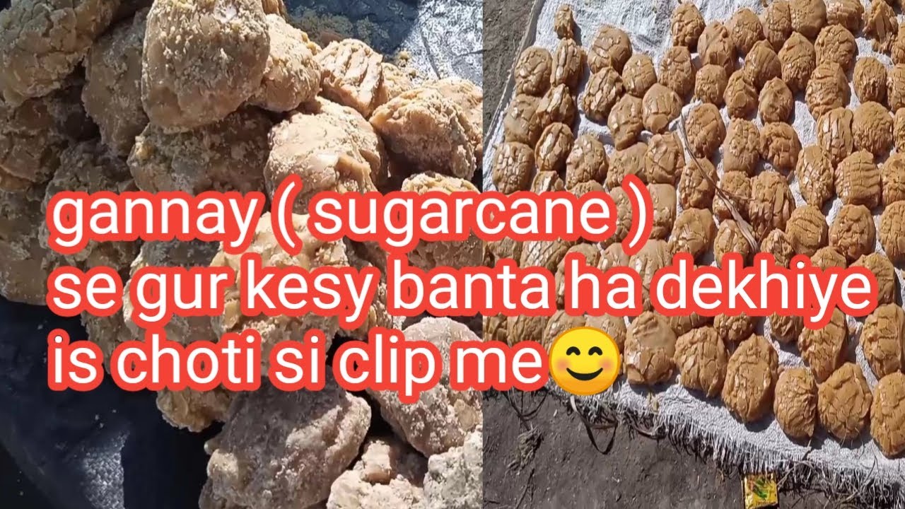 Gannay (sugarcane) se gur kesy banaya jata ha dekhiye hamari is choti ...