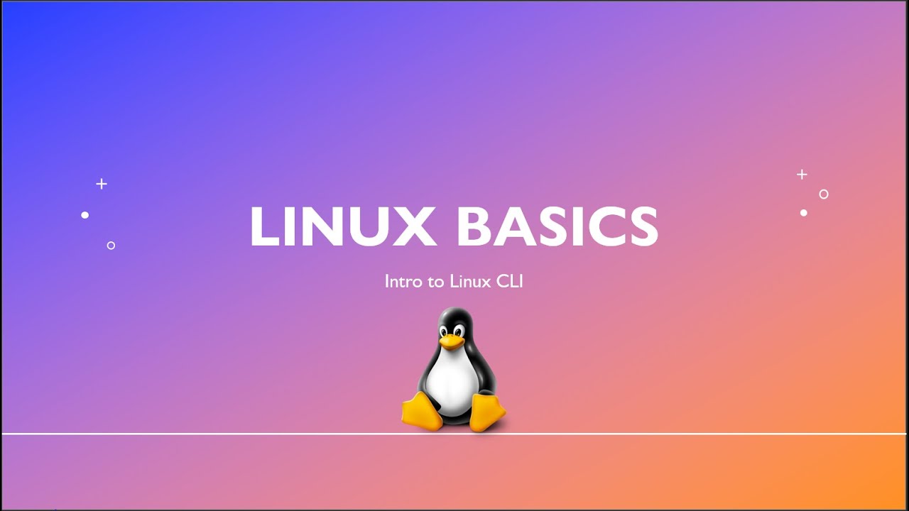 Linux Basics #2 - Intro to the Linux CLI - YouTube