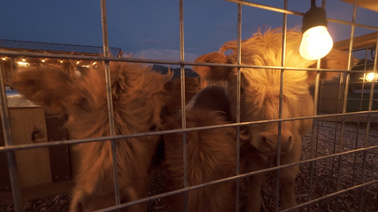 The Grand Ranch in Utah - YouTube