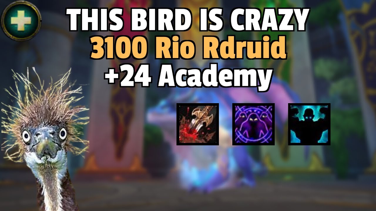THIS BIRD IS CRAZY! +24 Academy Ft. Naowh, Gingi, Canexx and Pylle ...