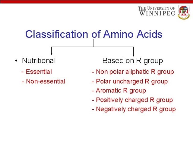 Classification Of Amino Acid Solved Complete The Table (Classification