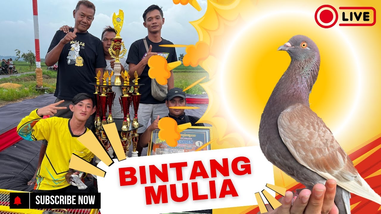 🔴LIVE WAWANCARA JOKI MUDA YANG LAGI VIRAL ‼️ BOBBY JOKI BURUNG BINTANG ...