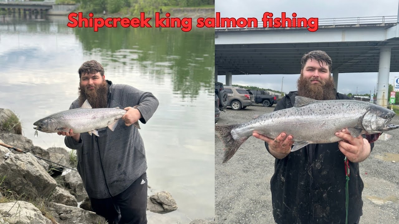 Ship creek downtown Anchorage king salmon fishing using bait and ...