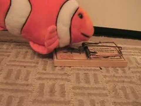 The death of Nemo - YouTube