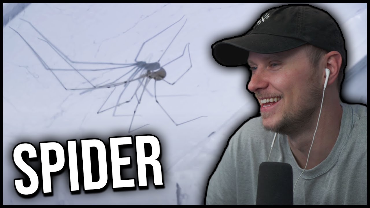 Bo Burnham: INSIDE OUTTAKES - Spider (REACTION) - YouTube