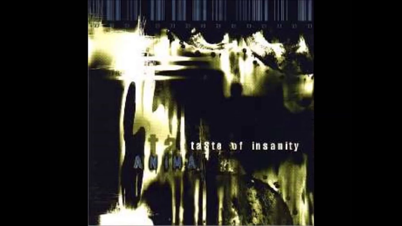 TASTE OF INSANITY - ANIMA (2001) FULL ALBUM - YouTube