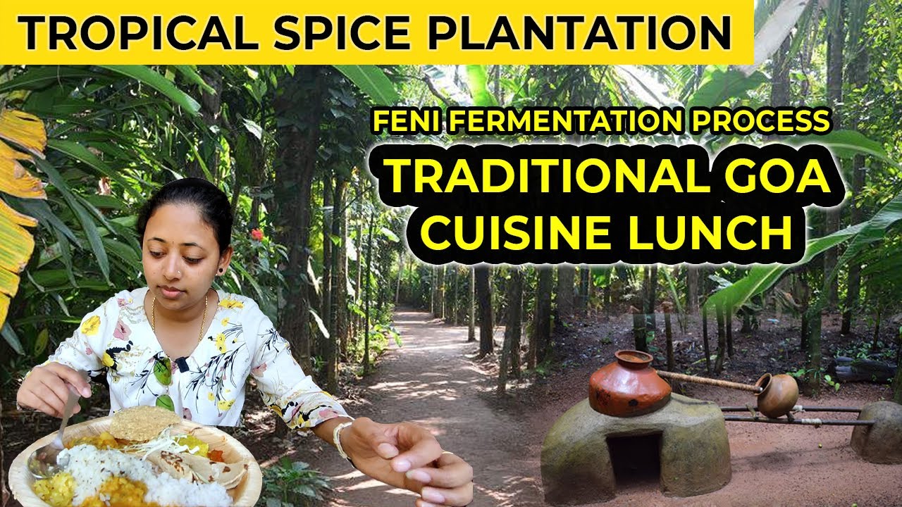 Tropical Spice Plantation Tour, Goa | Feni Fermentation| Traditional ...