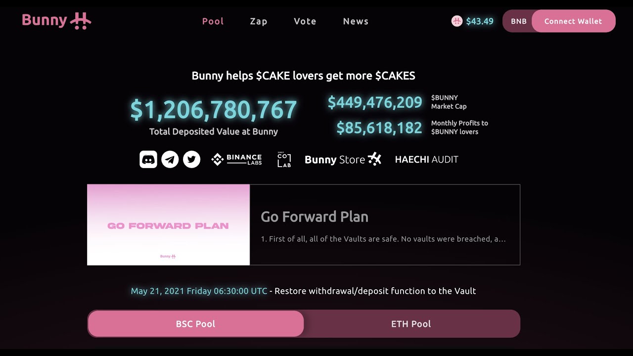 Bunny Token on Binance Smart Chain - YouTube