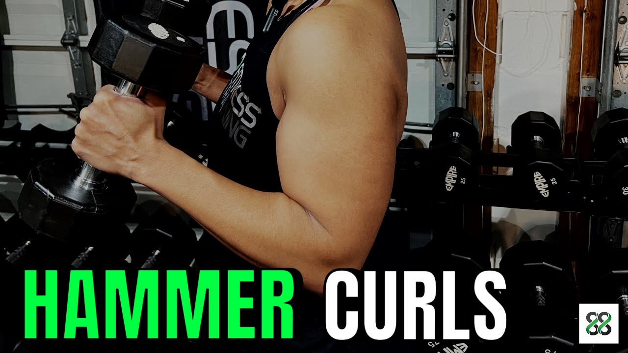 How to Do Hammer Curls For *Bigger* Arms! Plus Variations #hammercurls ...