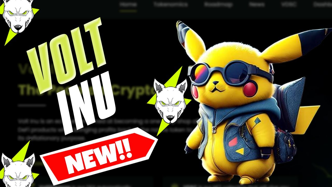 Volt Inu ⚡ FULL PROJECT REVIEW ⚡BRIGHT FUTURE - YouTube