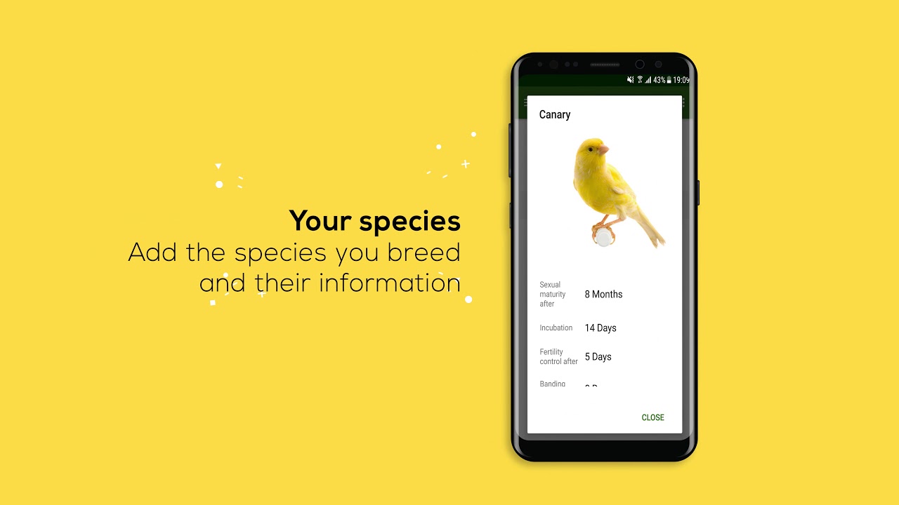 Birds Manager - the ideal application to manage your birds. - YouTube