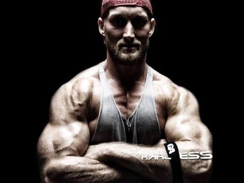 Ist Fitness Guru Karl Ess ein Arschloch? ROADTOGLORY - YouTube